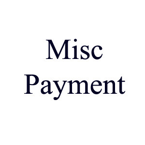 Miscellaneous Payment - payment - MoissaniteCo.com